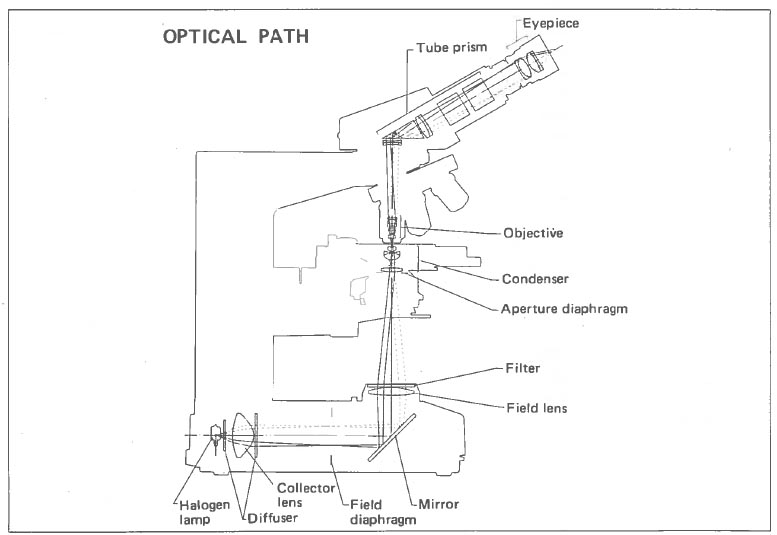 Nikon Labophot Series Microscopes