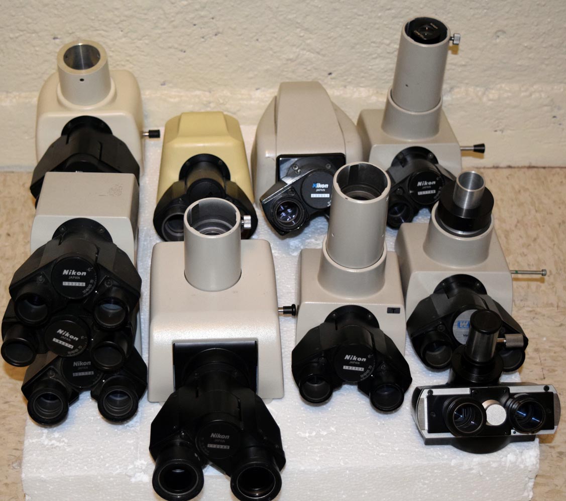 Nikon Observation Heads
