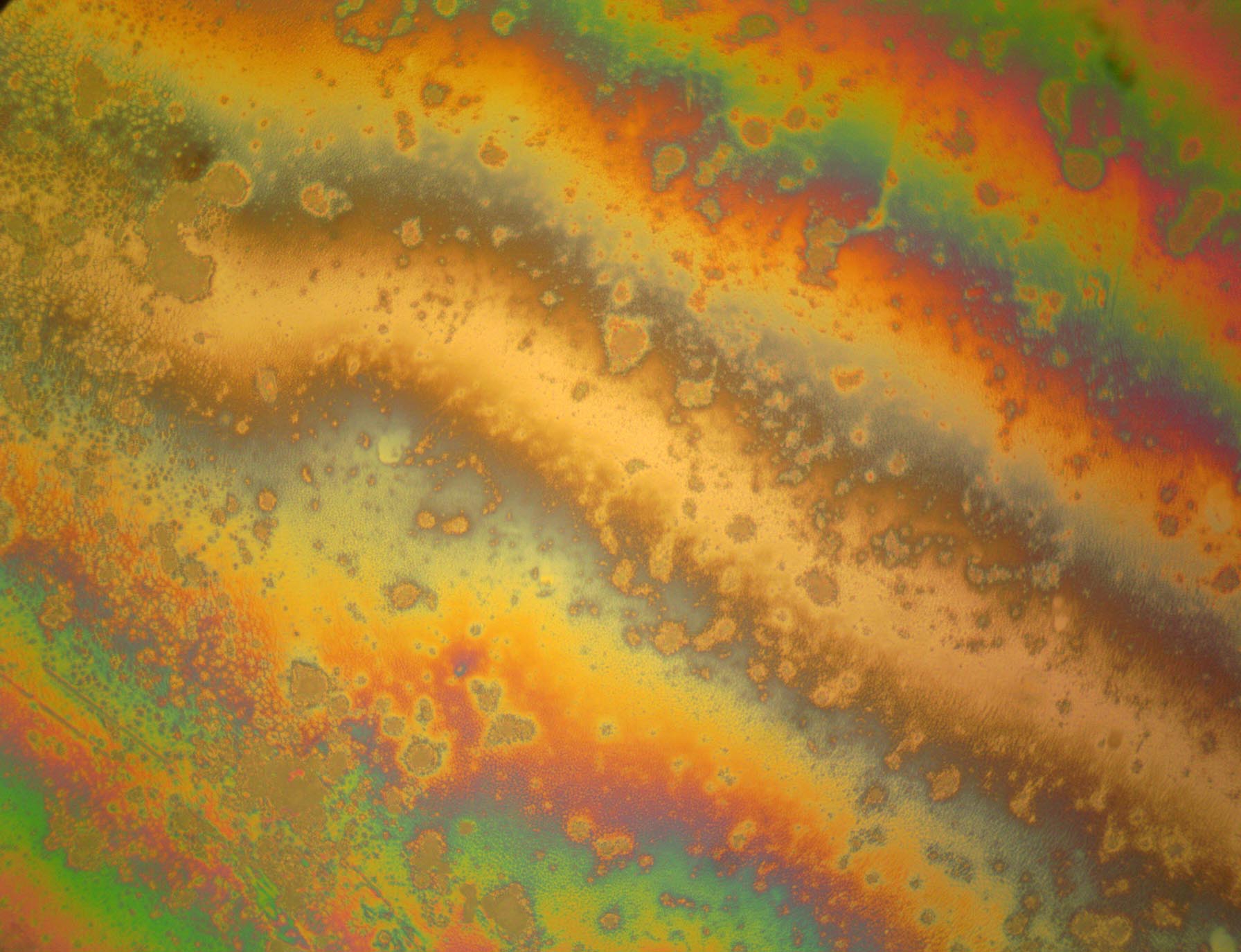 Interference Microscopy